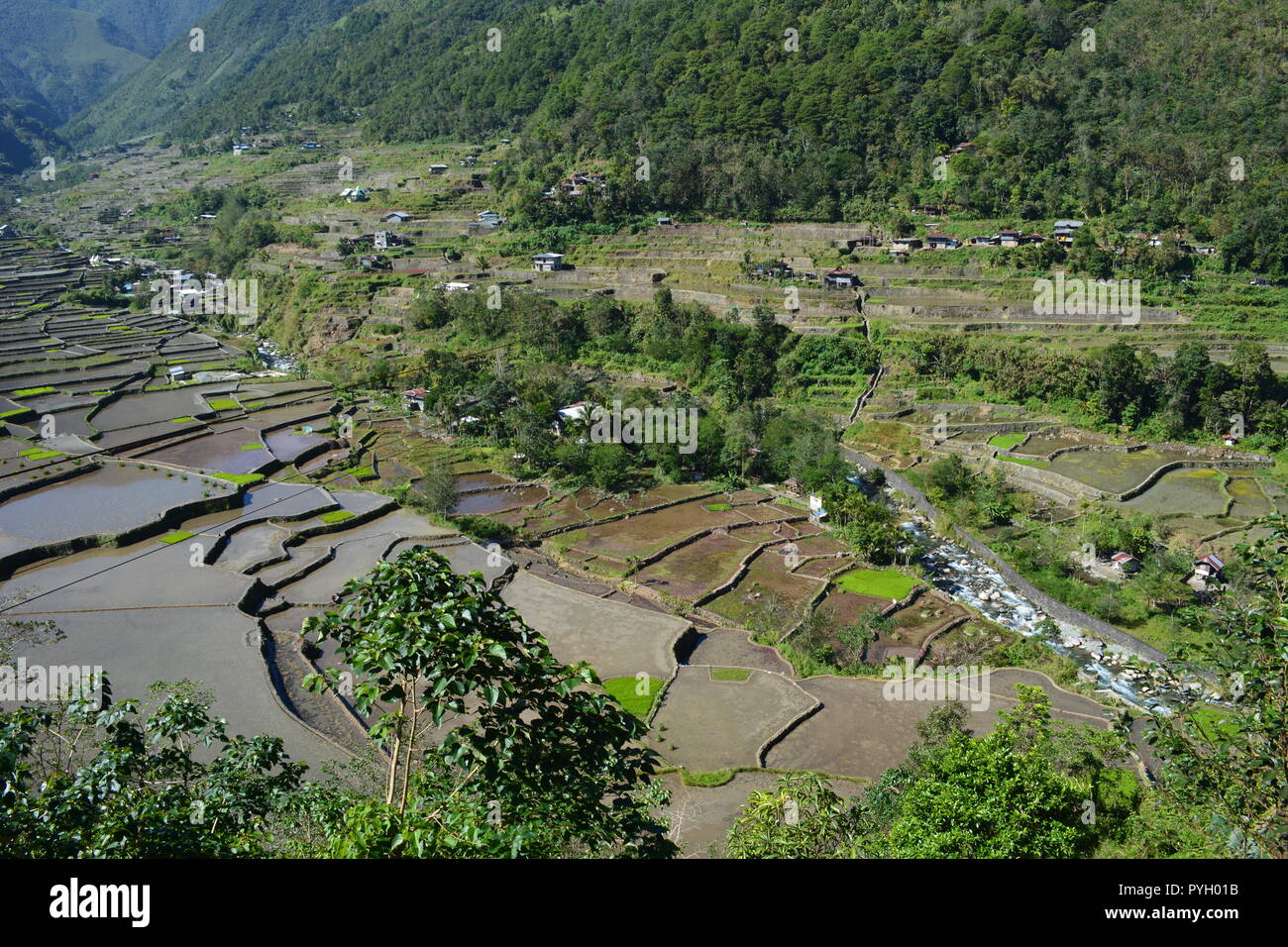 Hungduan Hapao Rice Terraces High Resolution Stock Photography and ...