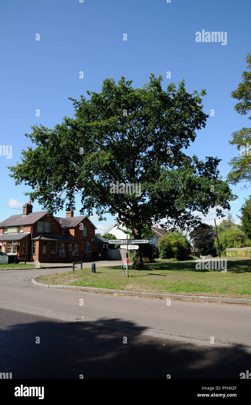 Wymondley hi-res stock photography and images - Alamy