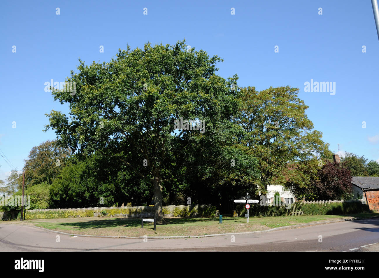 Wymondley hi-res stock photography and images - Alamy