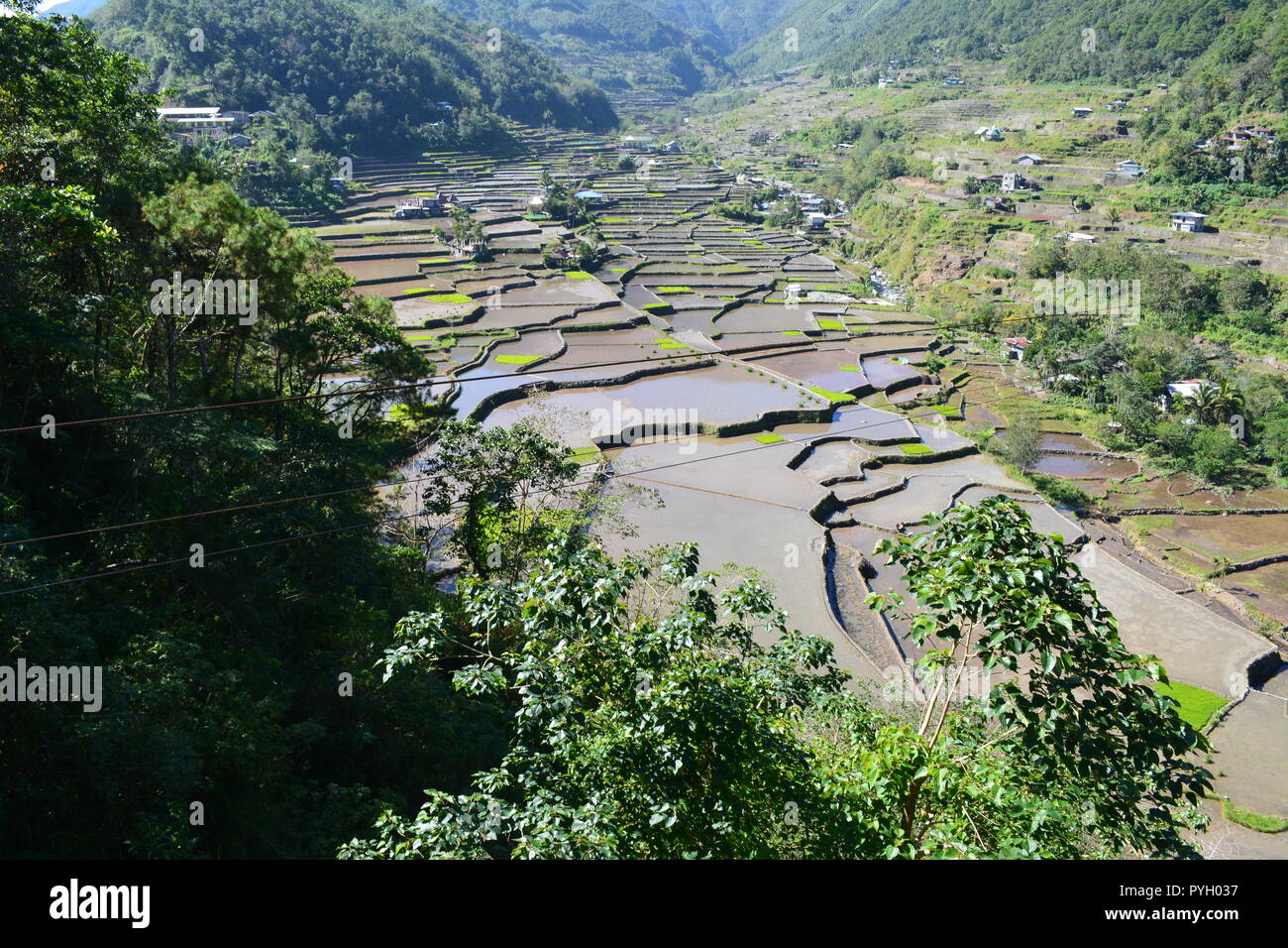 Hungduan Hapao Rice Terraces High Resolution Stock Photography and ...