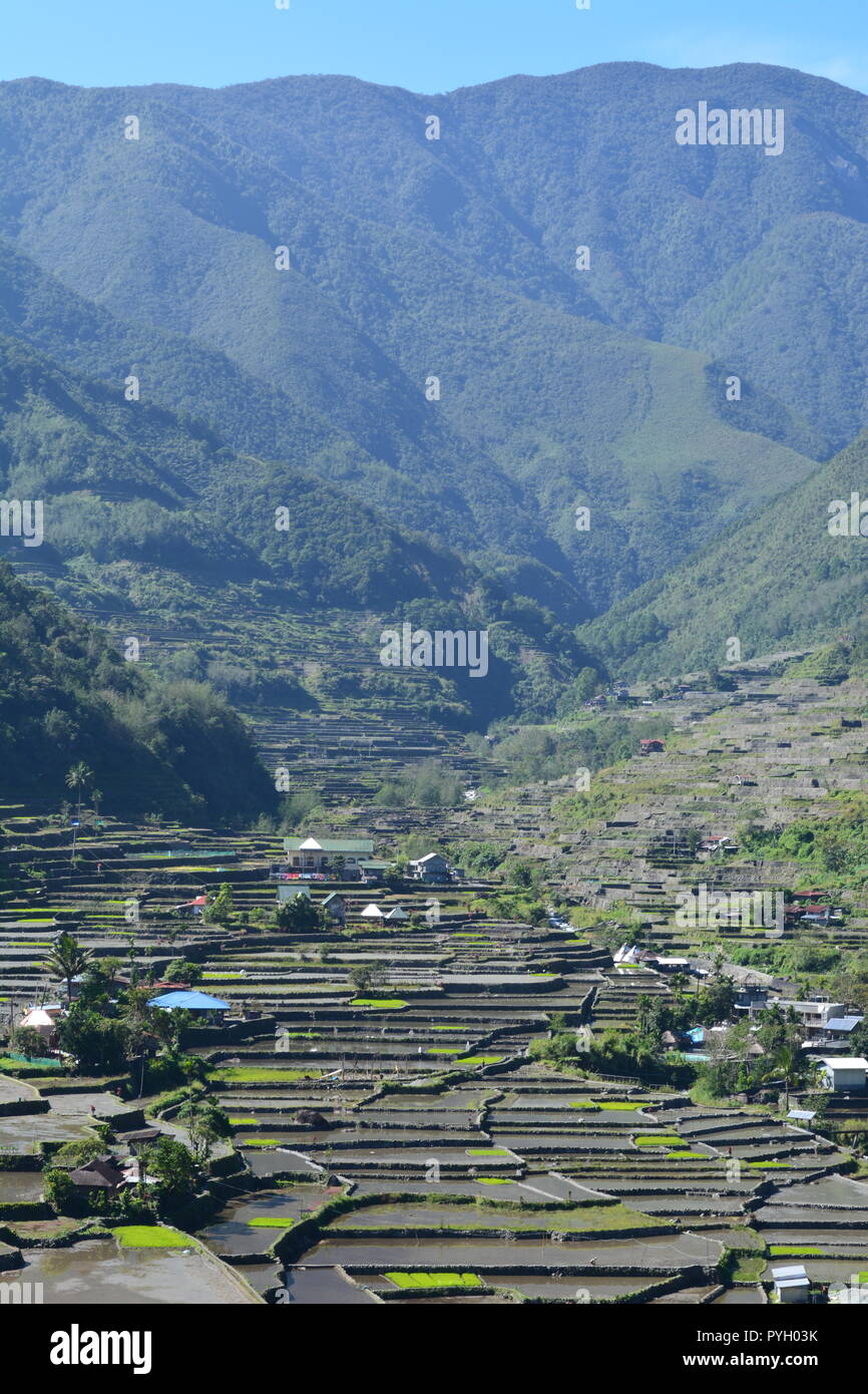 Hungduan Rice Terraces Ifugao High Resolution Stock Photography and ...