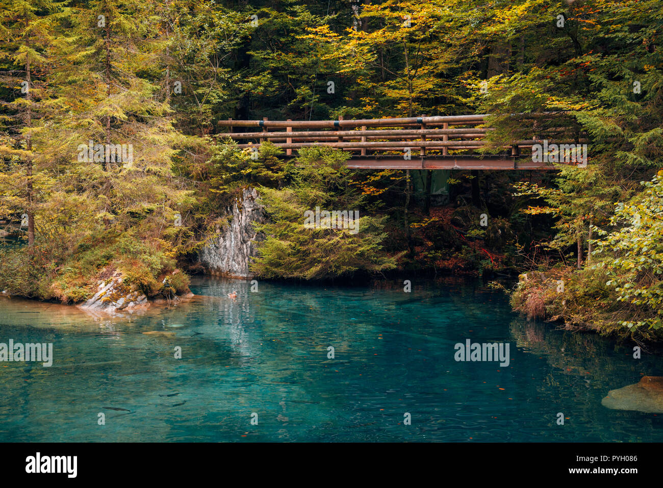 Autumn time at romantic forest lake Blausee, one of the best known ...