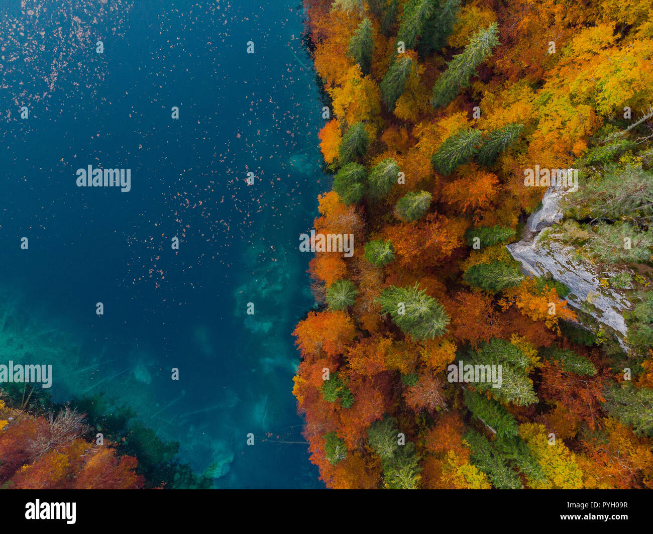 Top down drone aerial view of autumn leaves hi-res stock photography ...