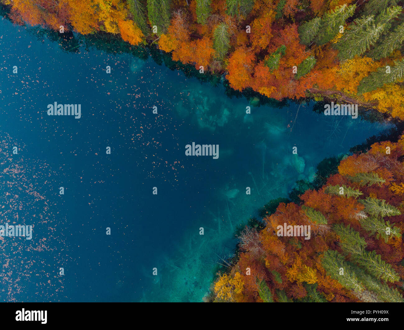 Top down drone aerial view of autumn leaves hi-res stock photography ...