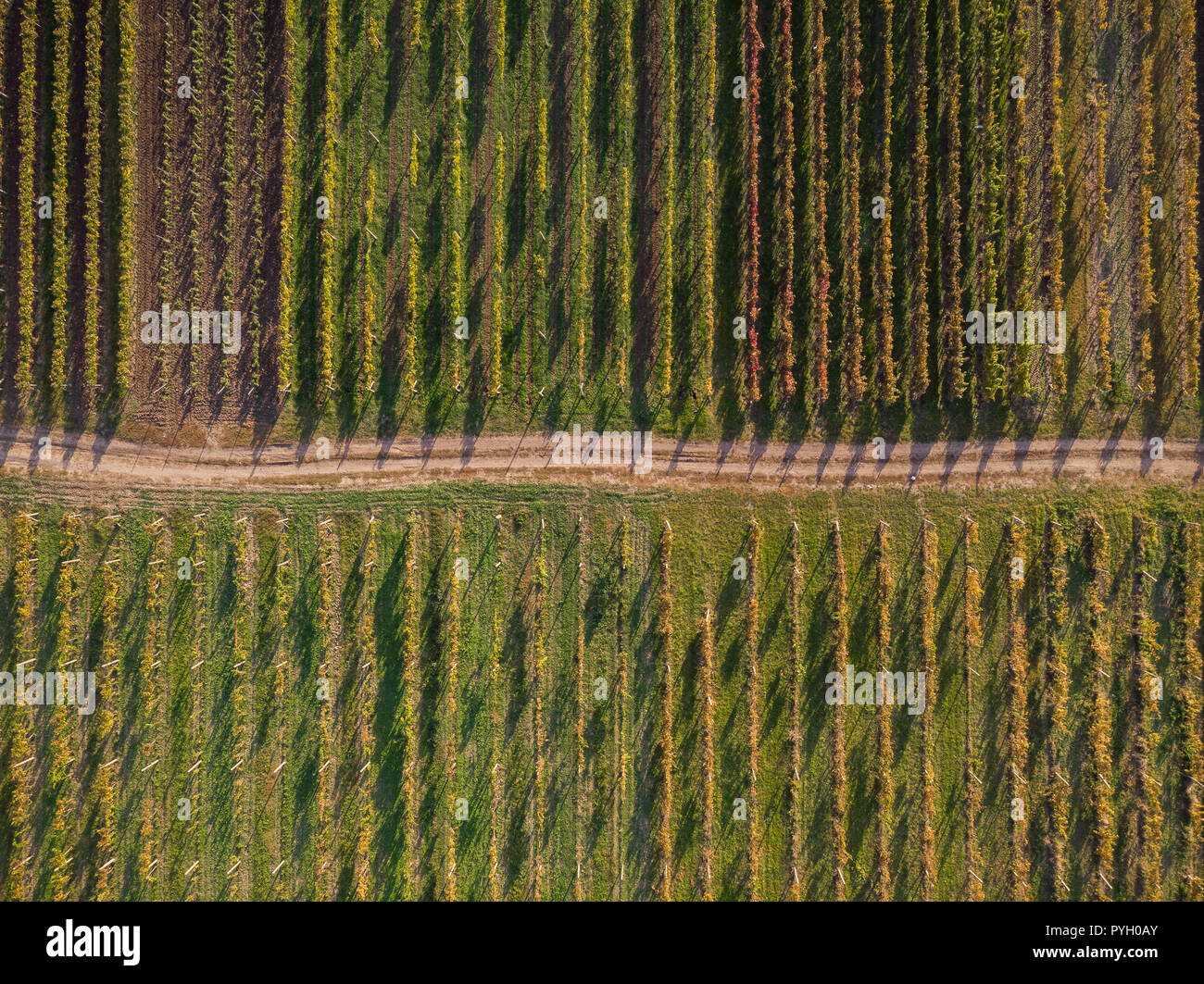 Hills rural flat top background hi-res stock photography and images - Alamy