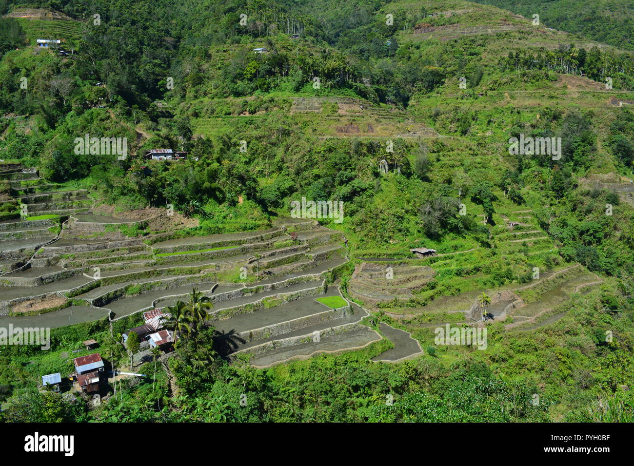 Eight wonder of the world hi-res stock photography and images - Alamy