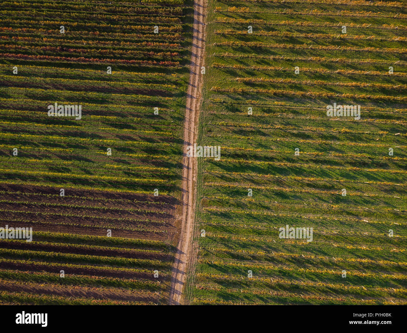 Top drone view vineyards in hi-res stock photography and images - Alamy
