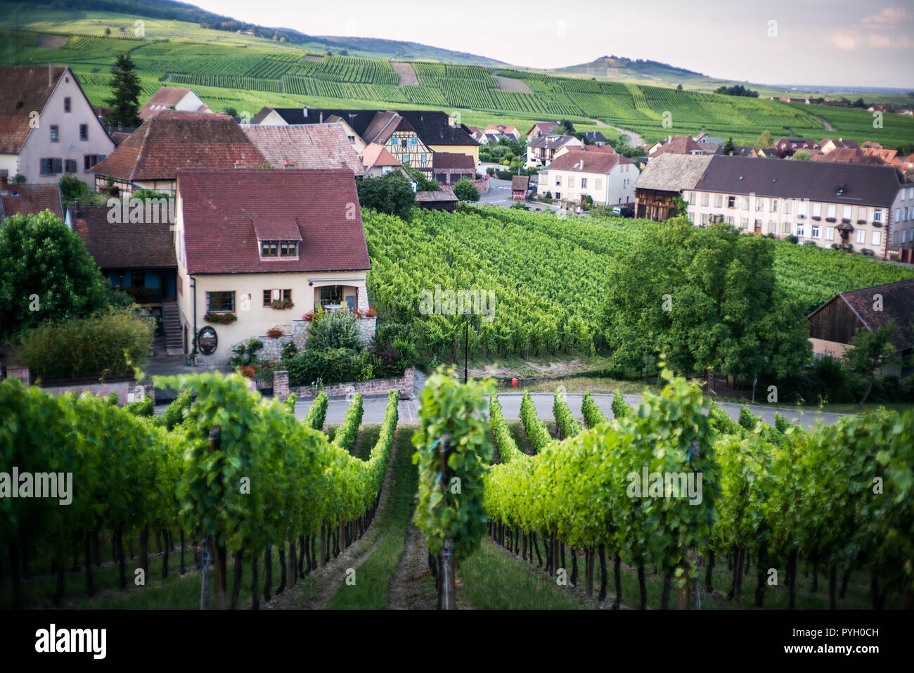 Hunawihr, France, Europe Stock Photo - Alamy