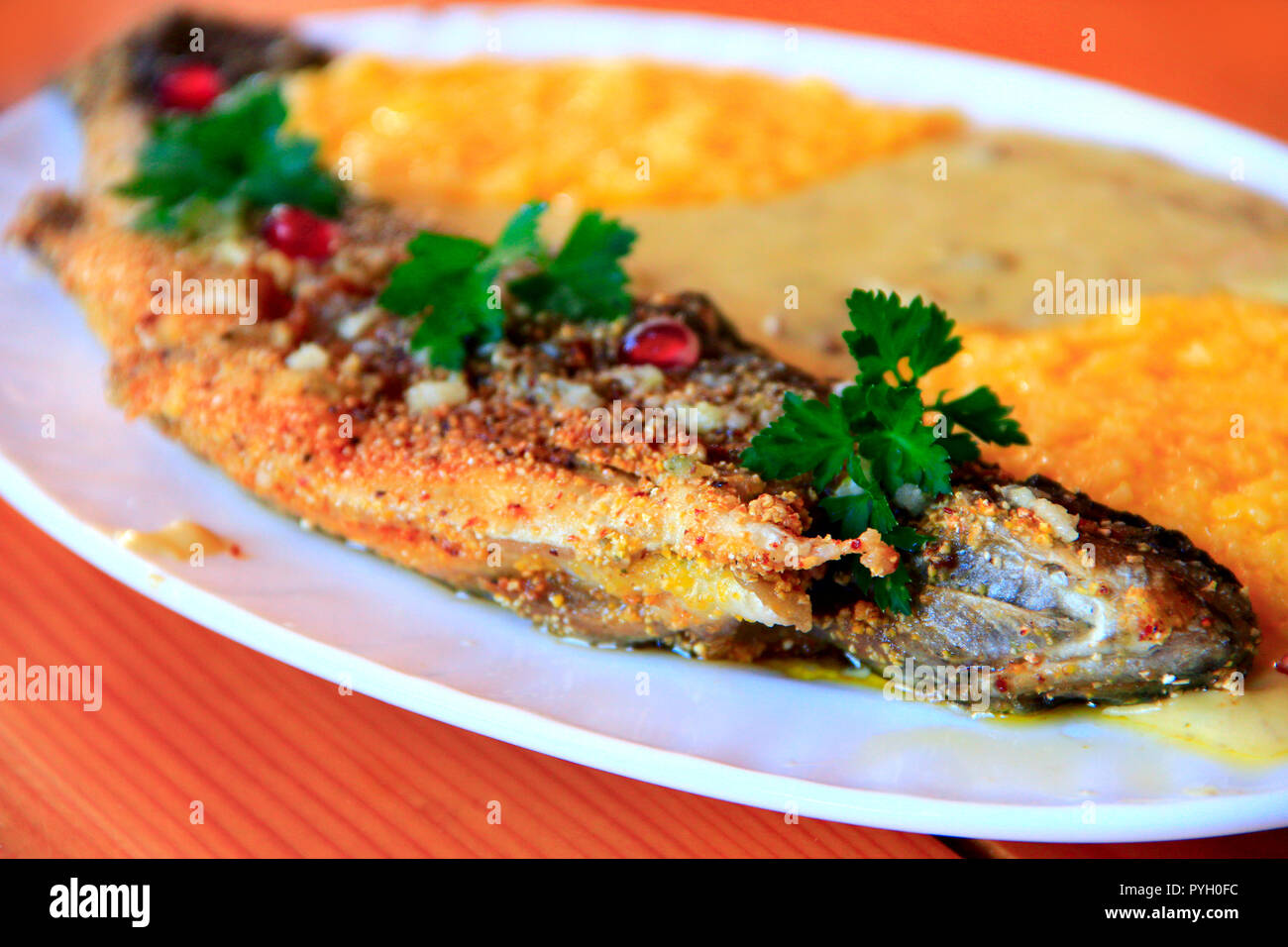 Trout fried with banusz. Dish with fried trout and banusz with mushroom ...