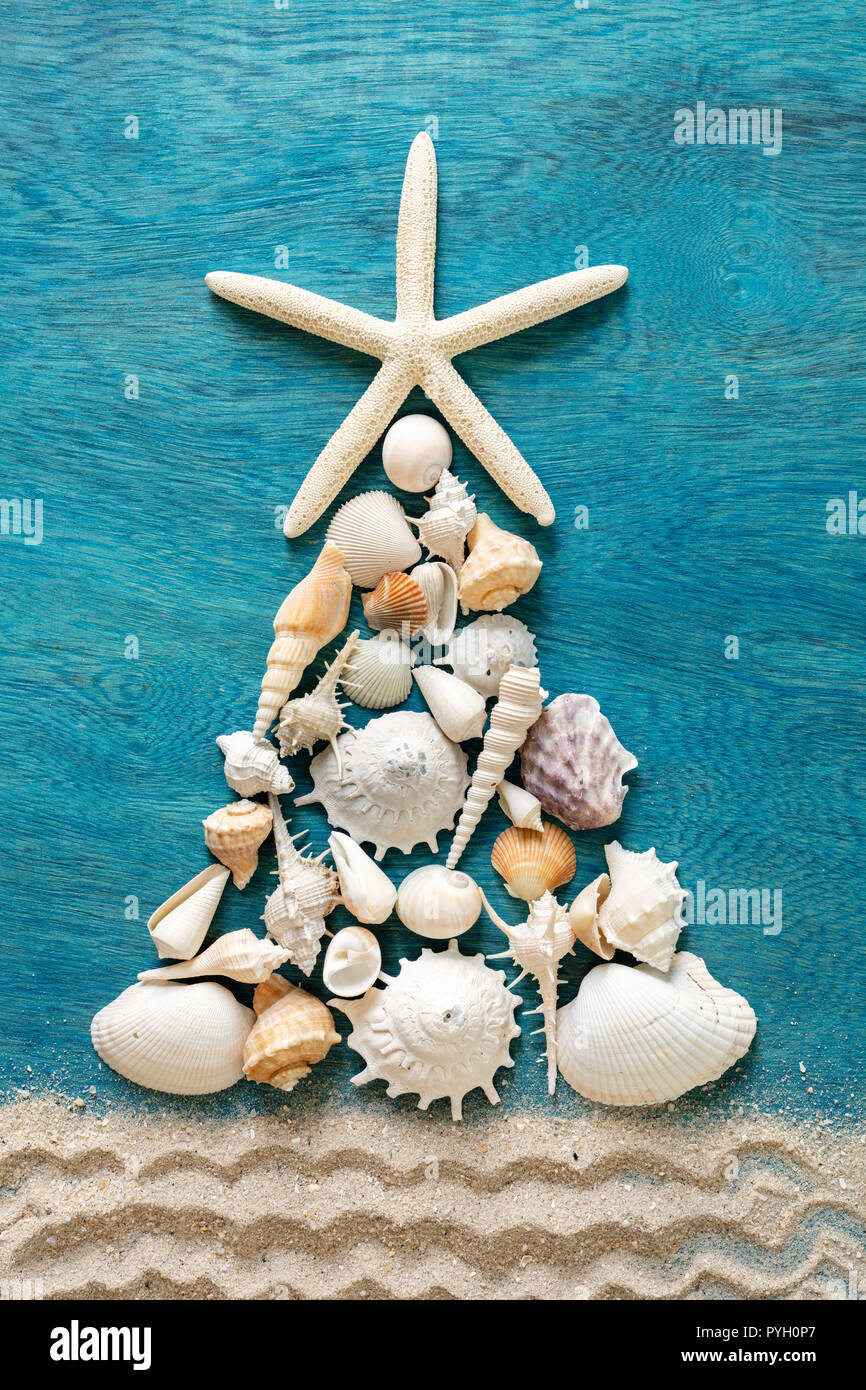 Christmas tree made from sea shells and starfish with sand decoration ...