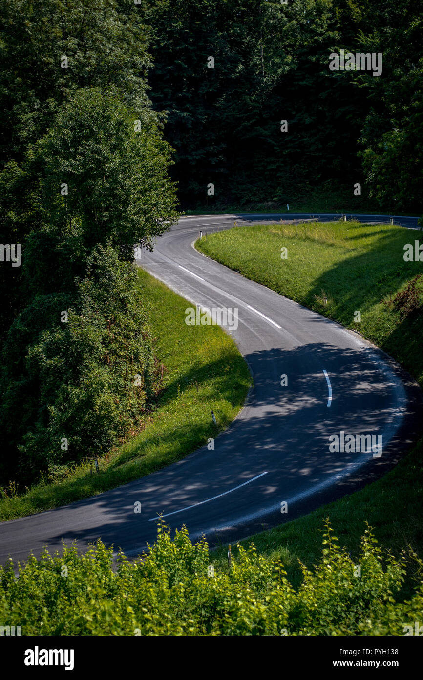 Bend hedge hi-res stock photography and images - Alamy
