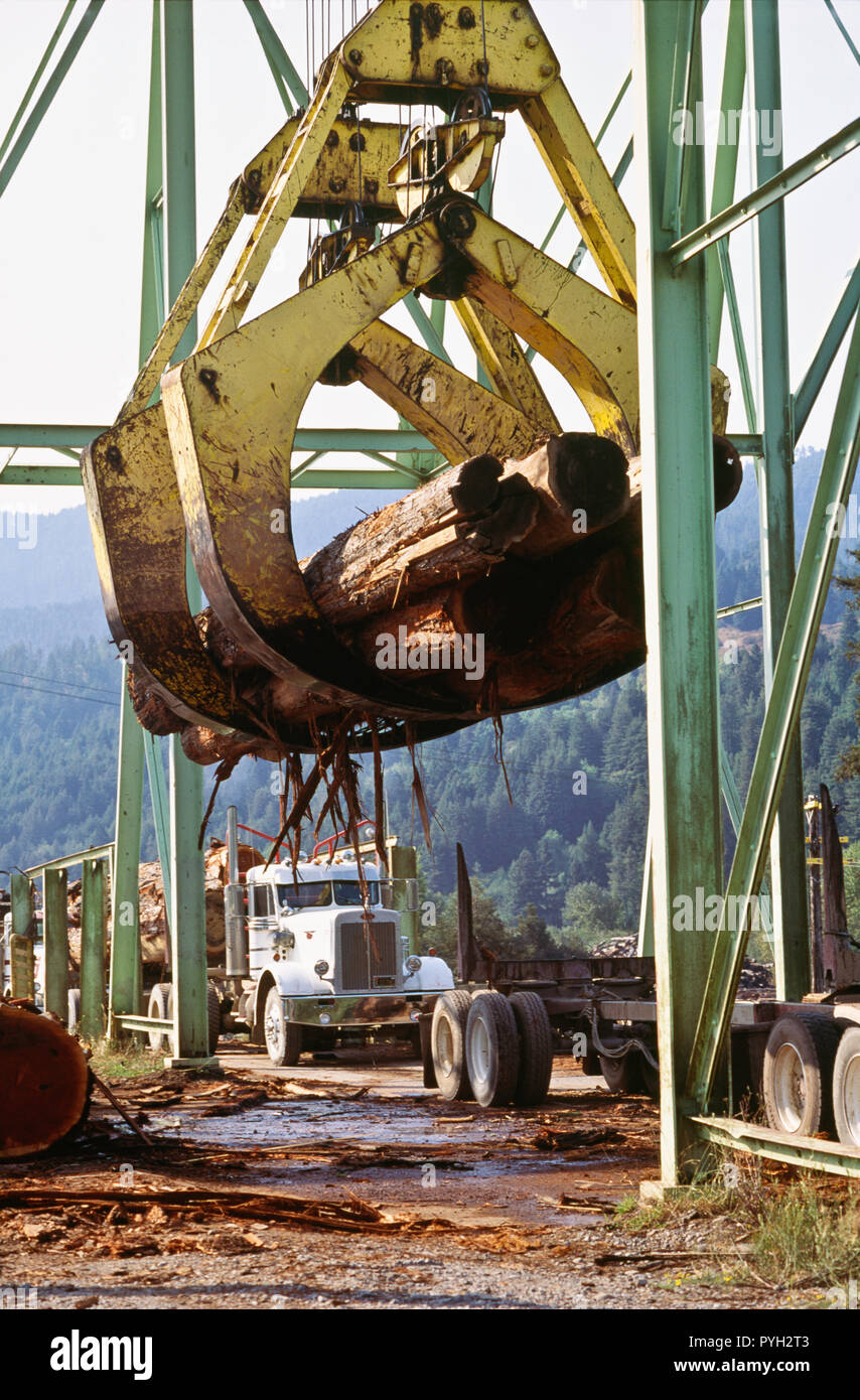 Logging lumber redwood hi-res stock photography and images - Alamy