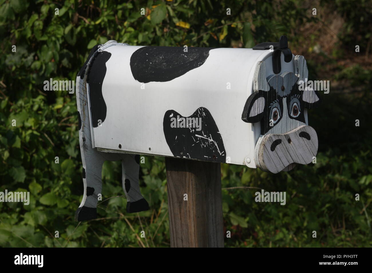 Cow mailbox hi-res stock photography and images - Alamy
