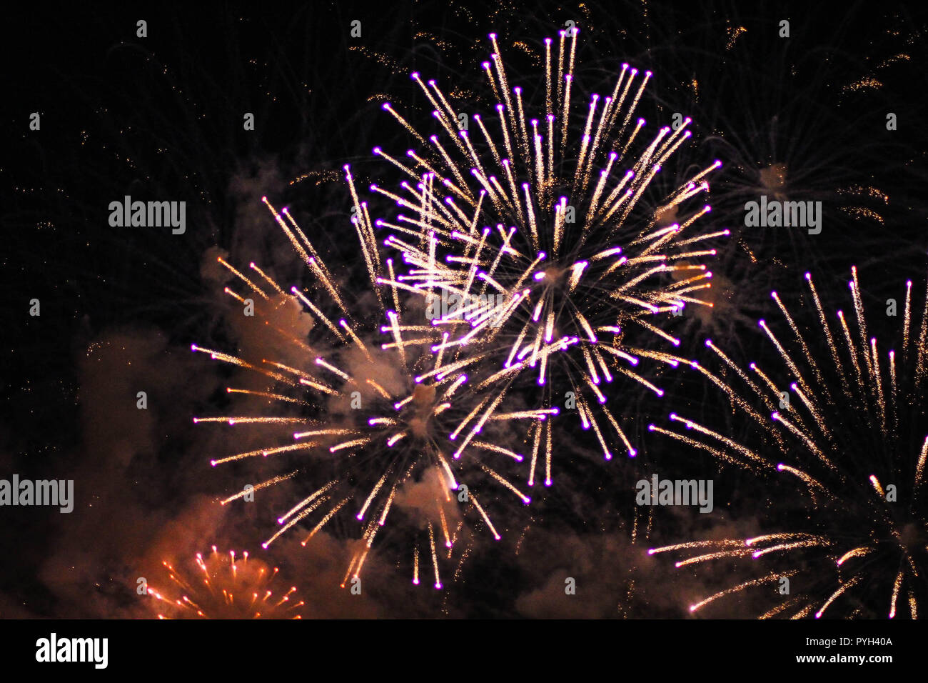 Fireworks on the black sky. Festive show. Large-scale celebration. The ...