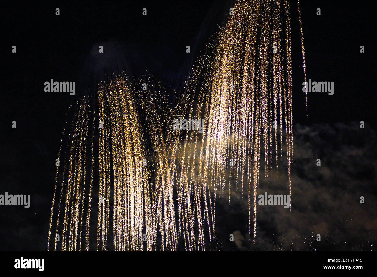 Fireworks on the black sky. Festive show. Large-scale celebration. The ...