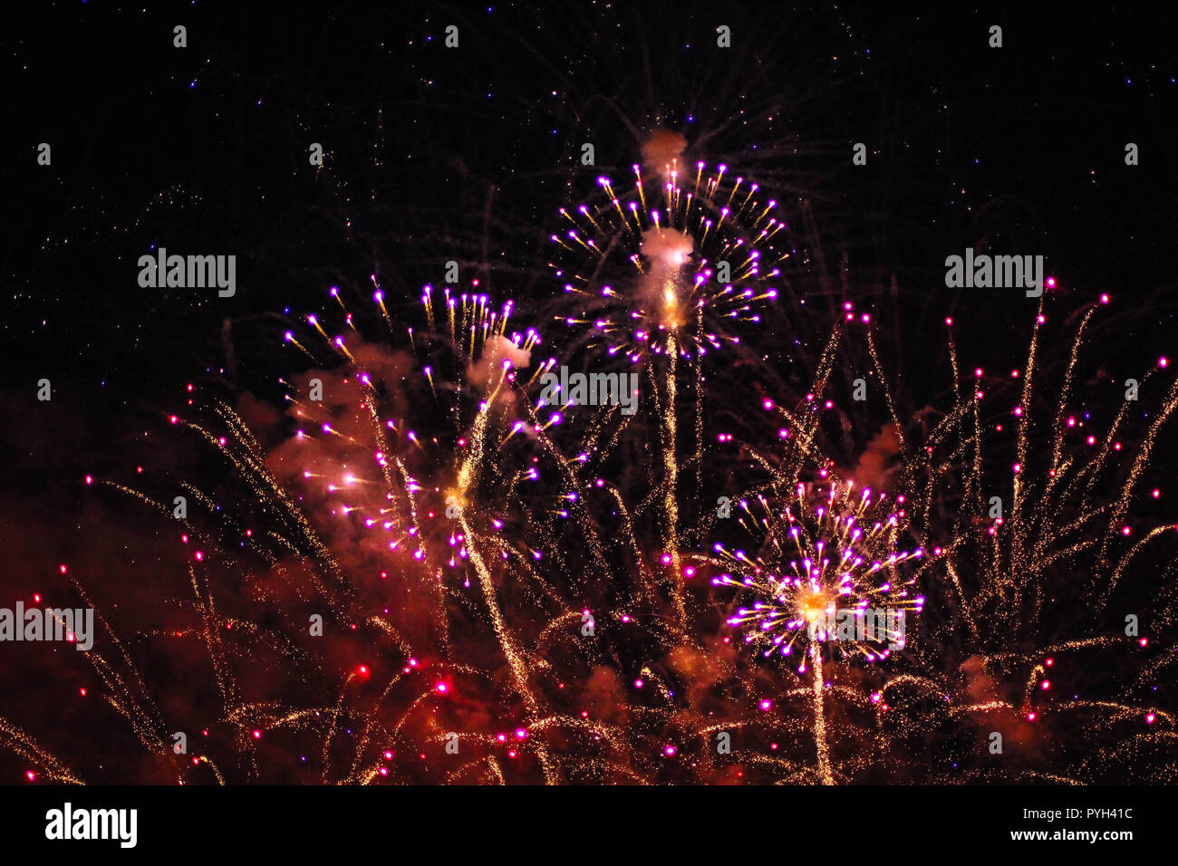Fireworks on the black sky. Festive show. Large-scale celebration. The ...