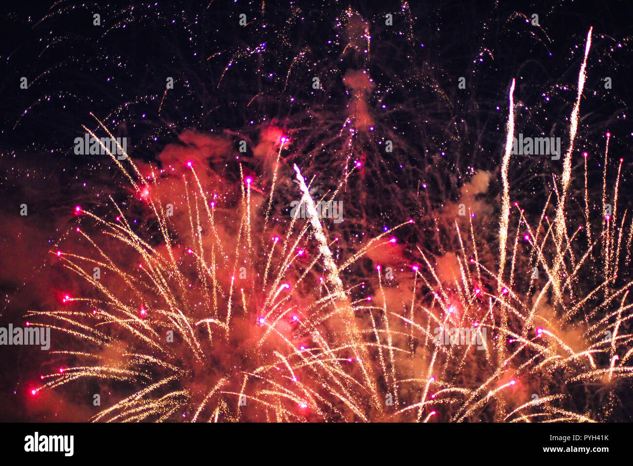 Fireworks on the black sky. Festive show. Large-scale celebration. The ...