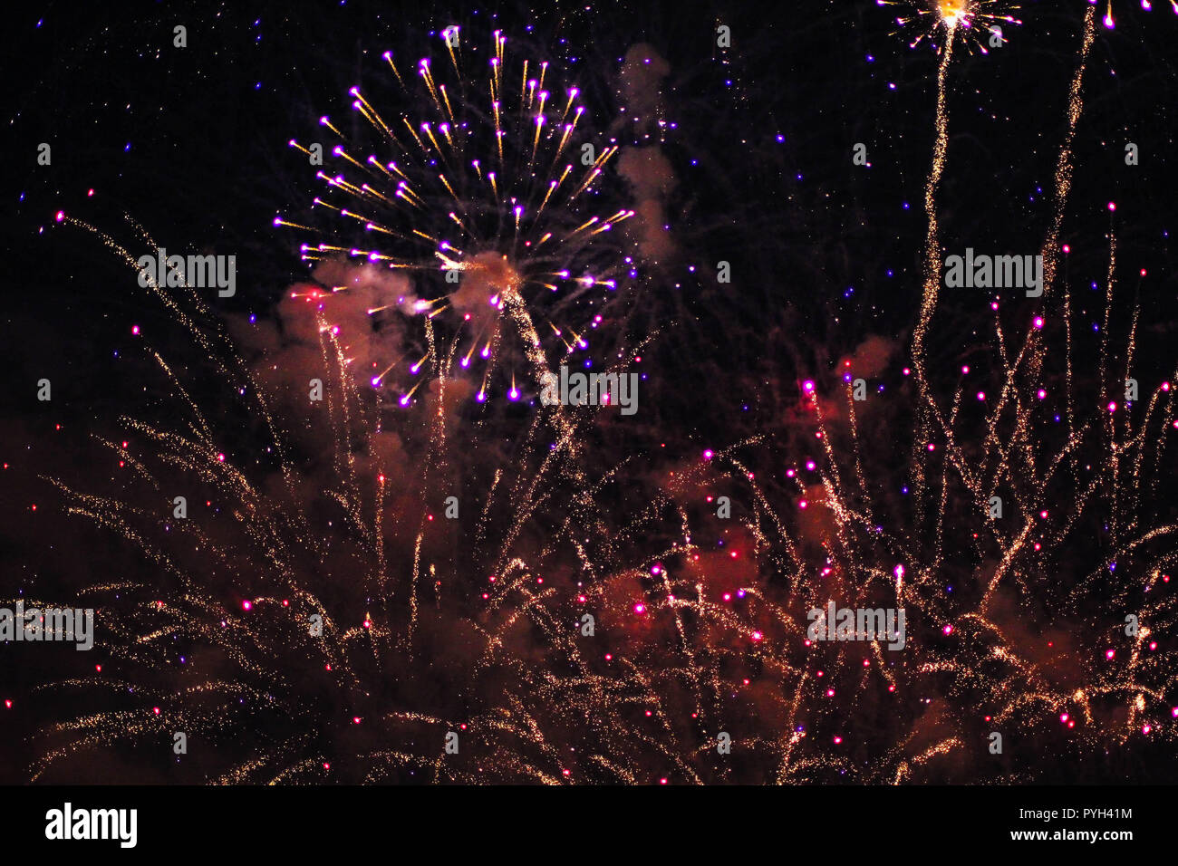 Fireworks on the black sky. Festive show. Large-scale celebration. The ...