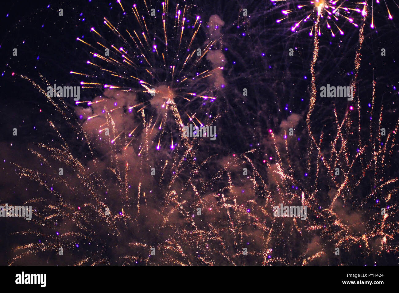 Fireworks on the black sky. Festive show. Large-scale celebration. The ...