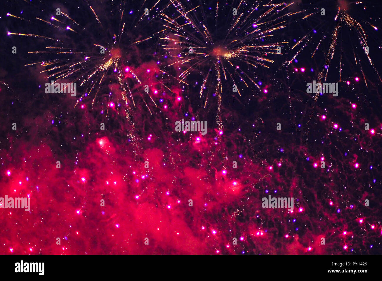 Fireworks on the black sky. Festive show. Large-scale celebration. The ...