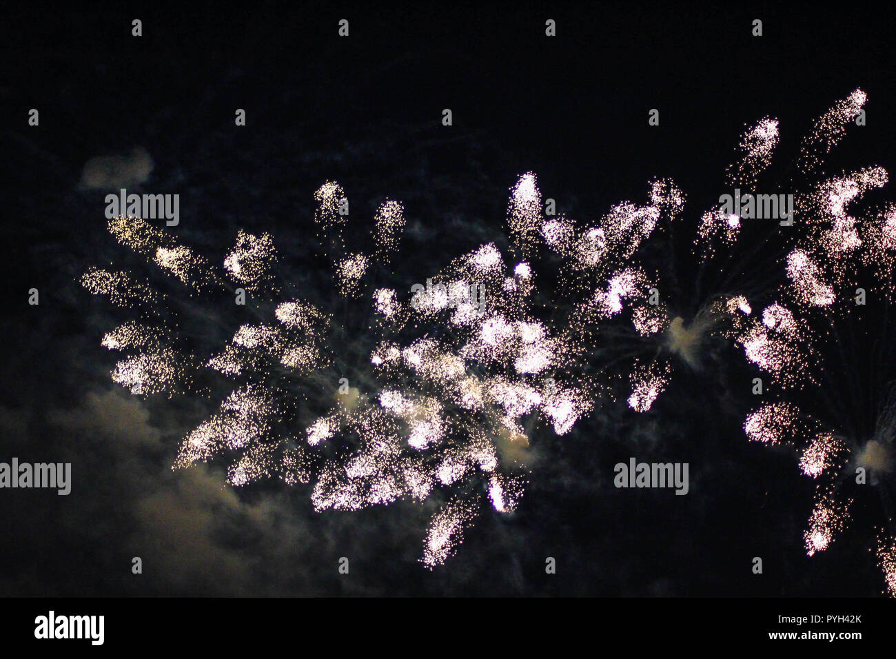 Fireworks on the black sky. Festive show. Large-scale celebration. The ...