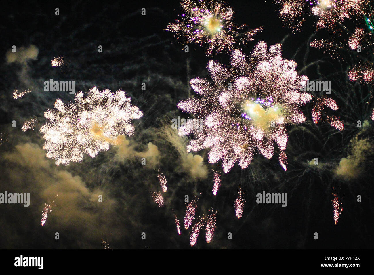 Fireworks on the black sky. Festive show. Large-scale celebration. The ...