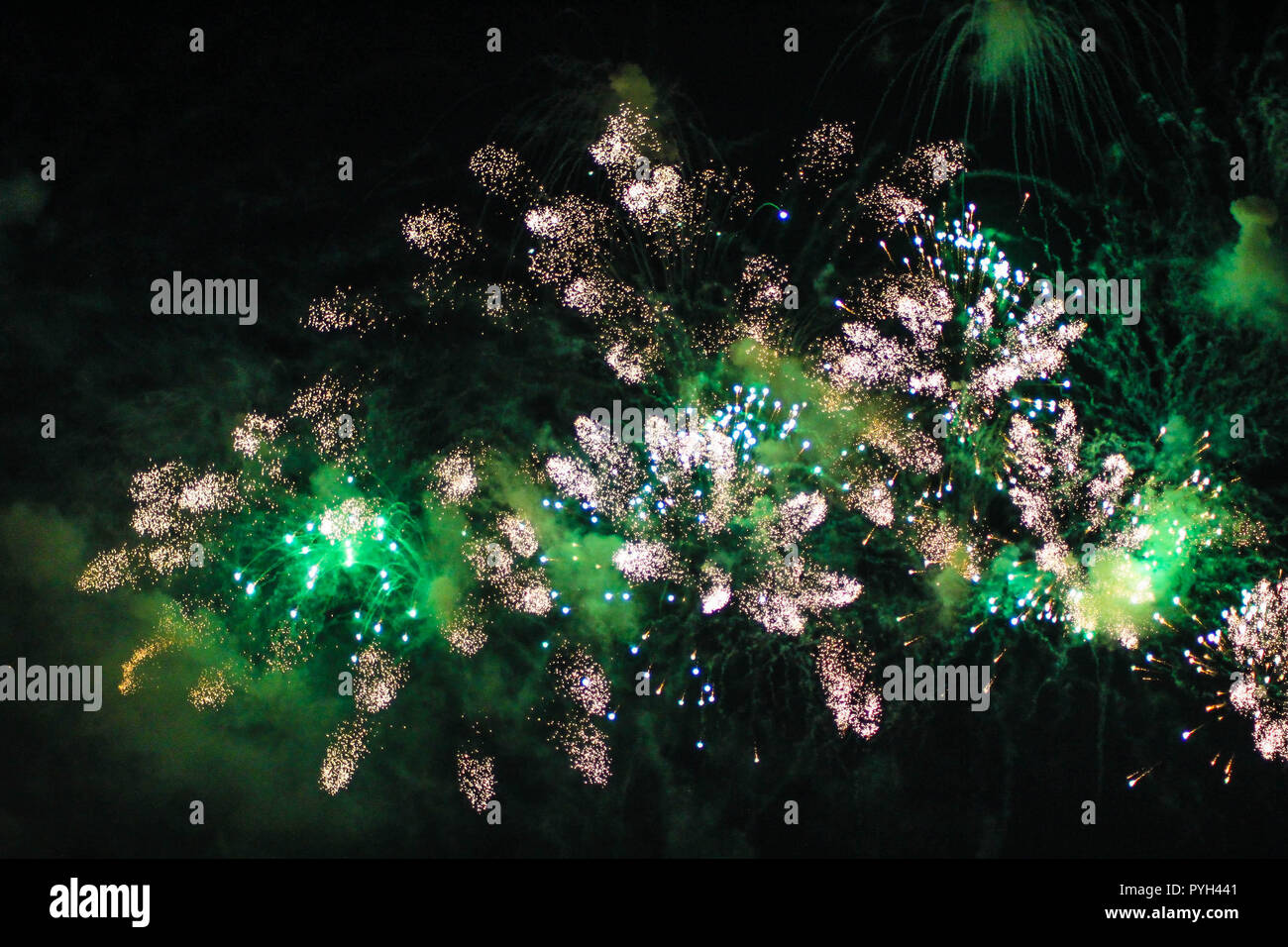 Fireworks on the black sky. Festive show. Large-scale celebration. The ...