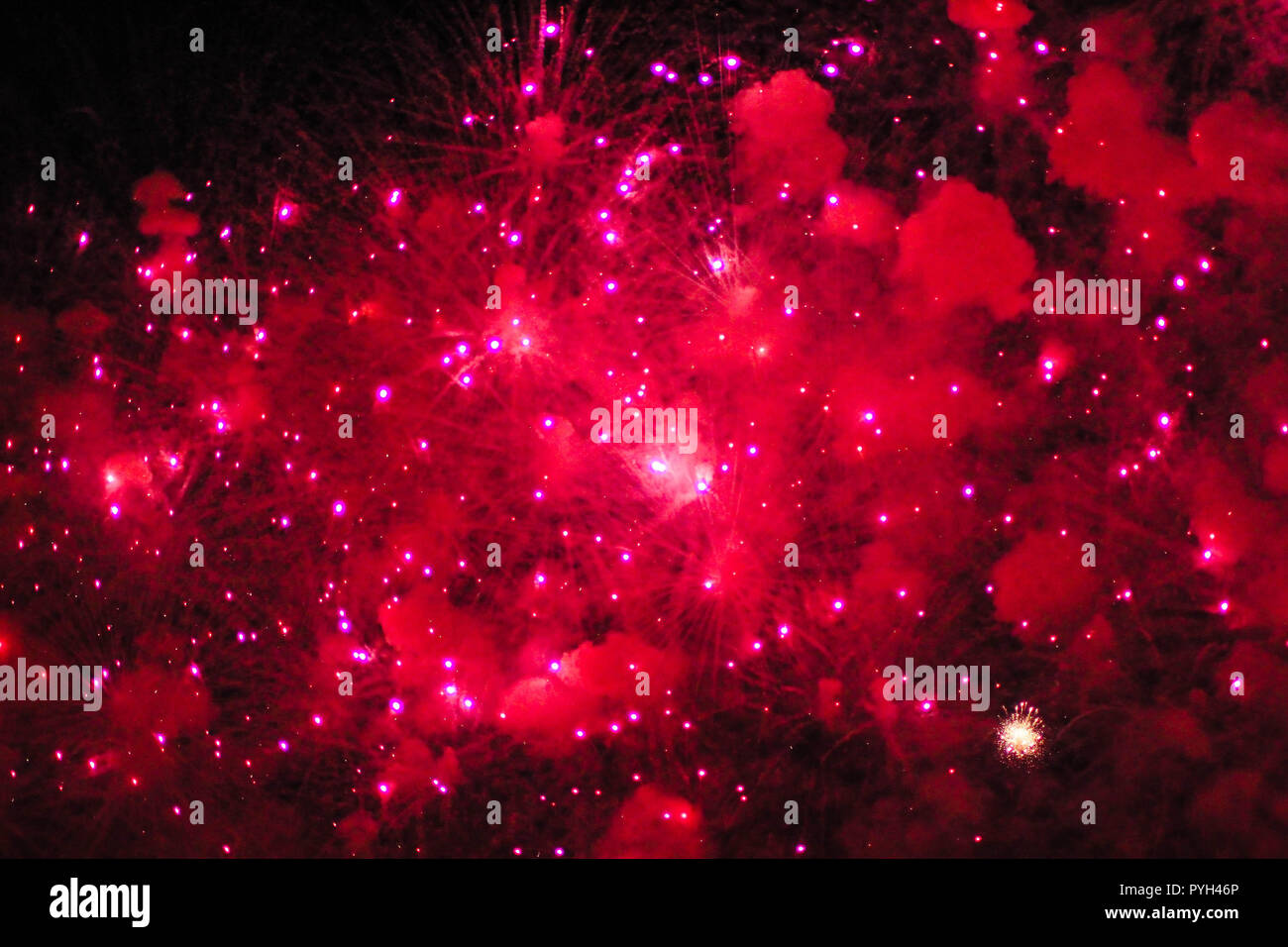 Fireworks on the black sky. Festive show. Large-scale celebration. The ...