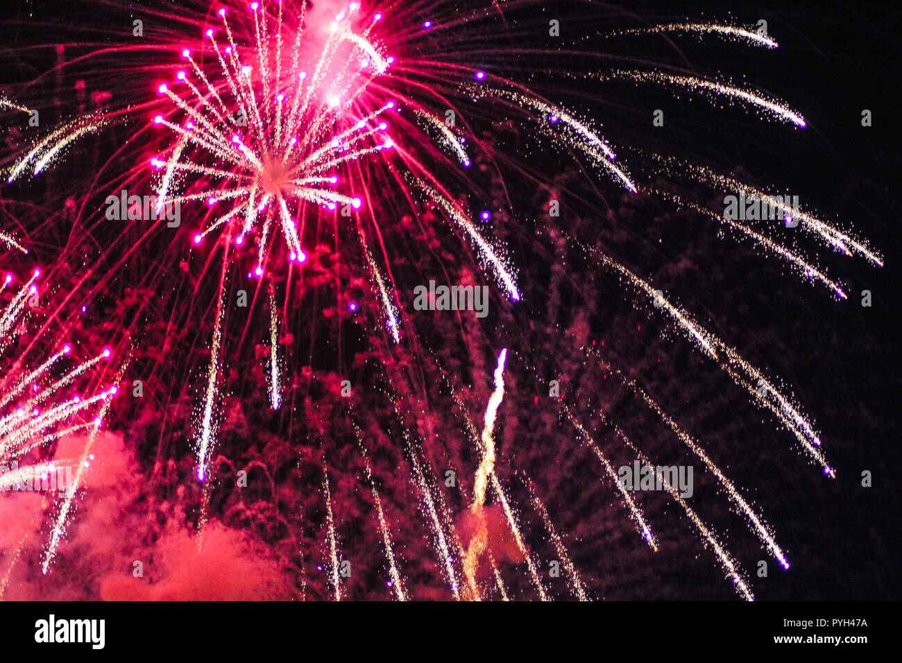 Fireworks on the black sky. Festive show. Large-scale celebration. The ...