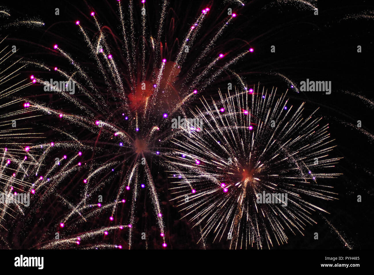 Fireworks on the black sky. Festive show. Large-scale celebration. The ...