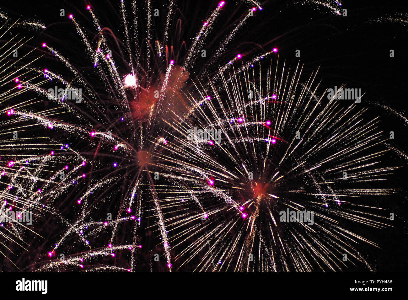 Fireworks on the black sky. Festive show. Large-scale celebration. The ...