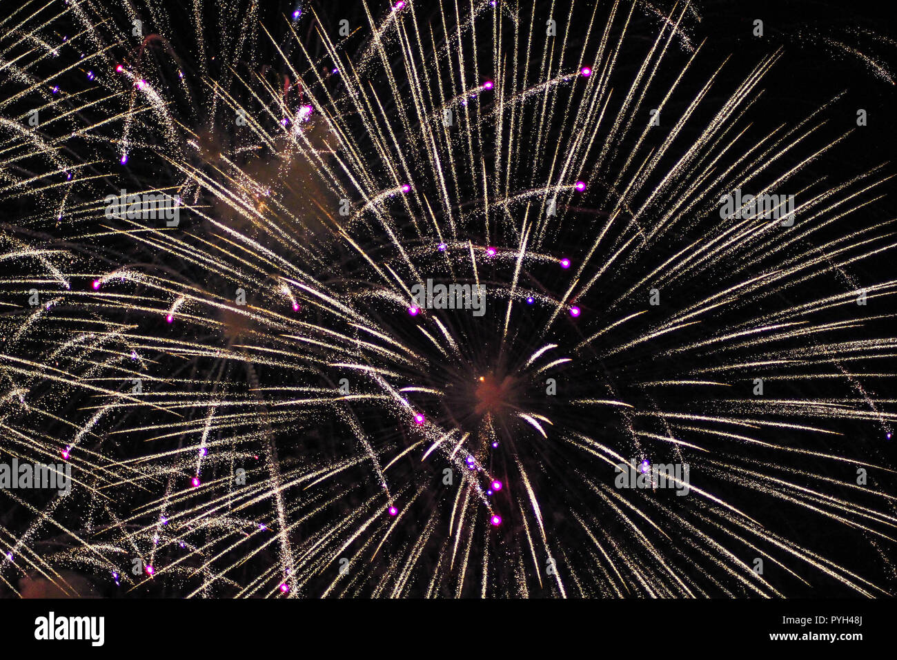 Fireworks on the black sky. Festive show. Large-scale celebration. The ...