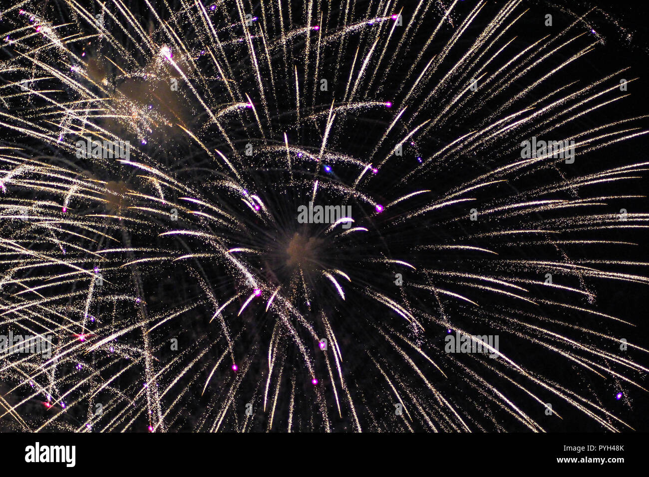 Fireworks on the black sky. Festive show. Large-scale celebration. The ...