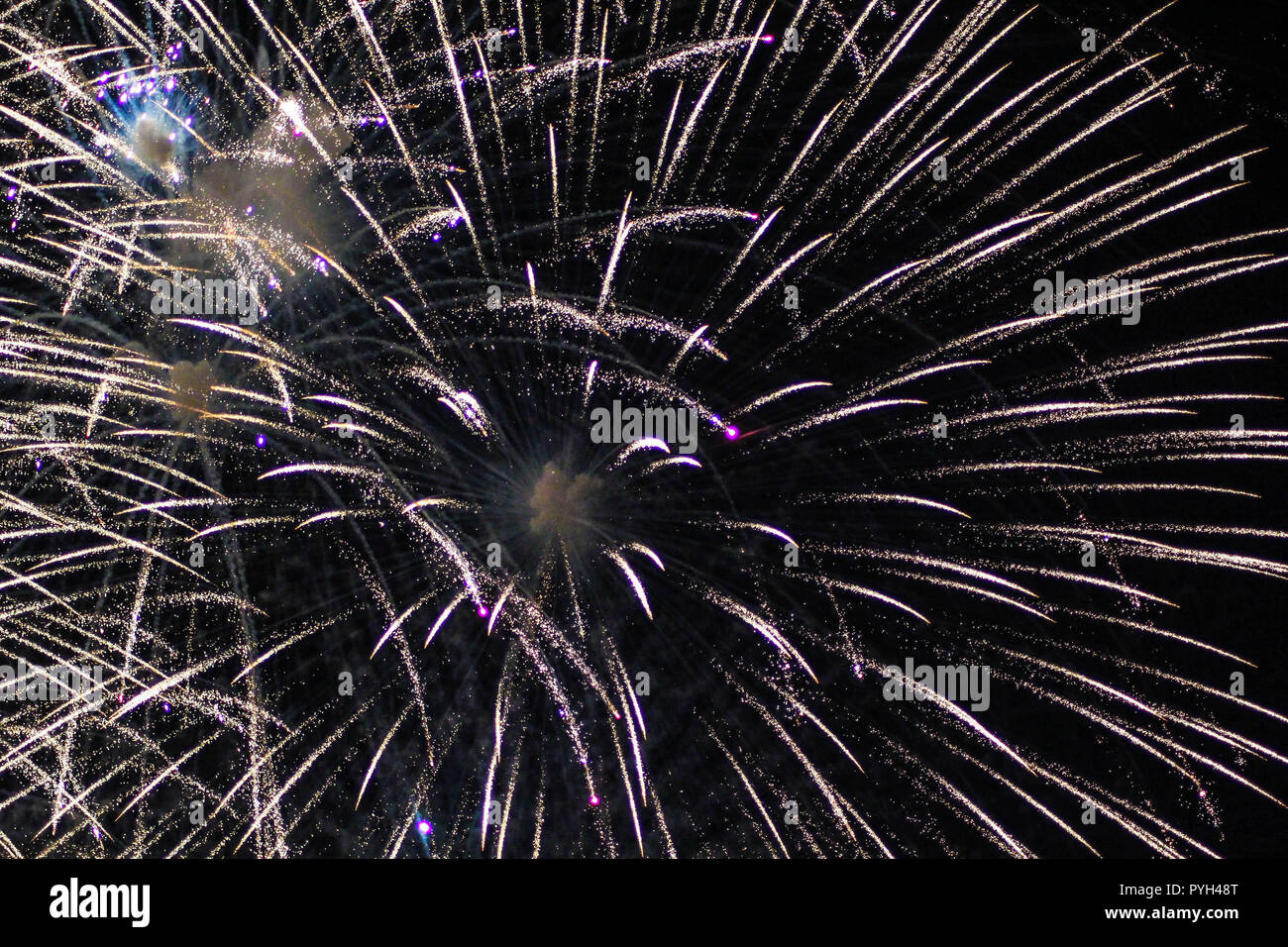 Fireworks on the black sky. Festive show. Large-scale celebration. The ...