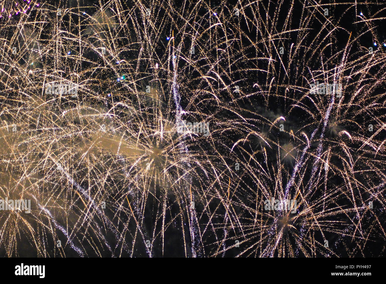 Fireworks on the black sky. Festive show. Large-scale celebration. The ...