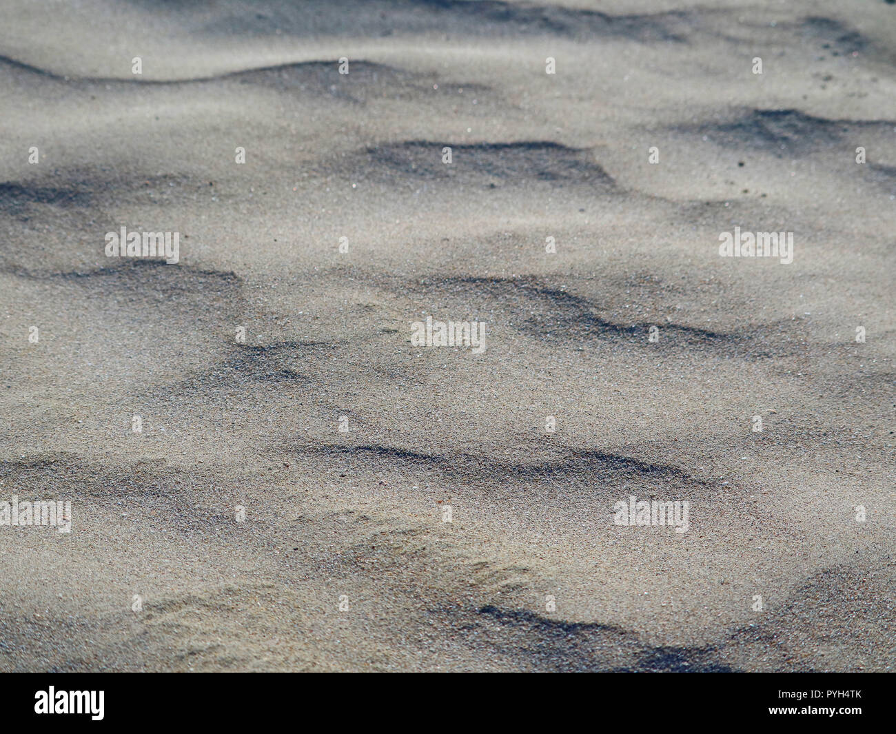 Sandy texture background hi-res stock photography and images - Alamy