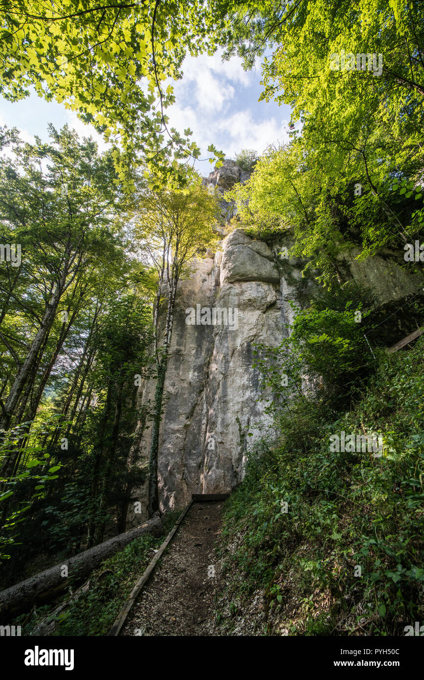 Via Ferrata Ladders of Death, Charquemont, France, Europe Stock Photo ...