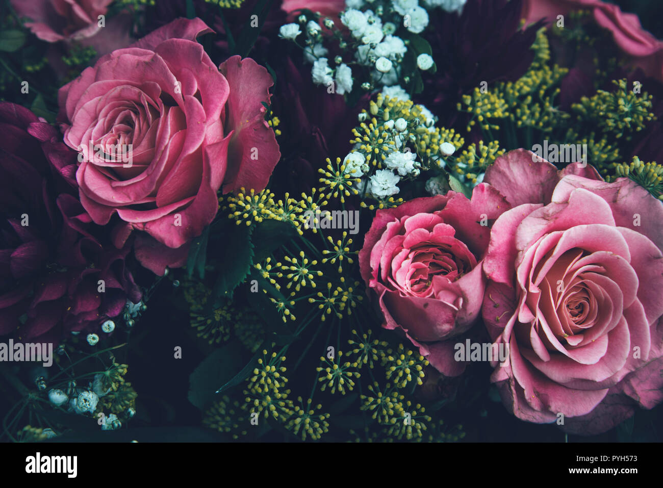 Beautiful fairy dreamy magic flowers Stock Photo - Alamy