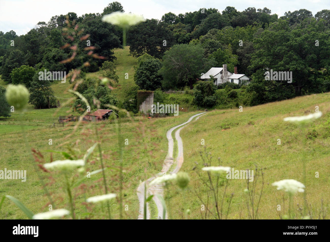 House with drive way hi-res stock photography and images - Alamy