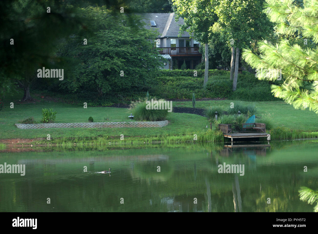 House with pond in rural Virginia, USA Stock Photo - Alamy
