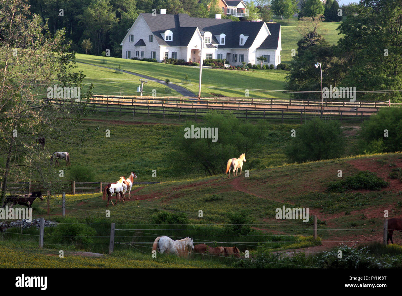 Virginia countryside horse usa hi-res stock photography and images - Alamy