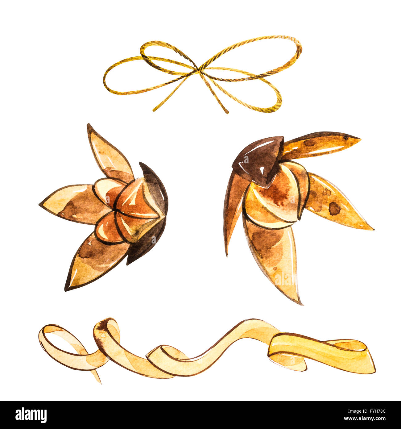 Stars of anise isolated on the white background. Watercolor ...