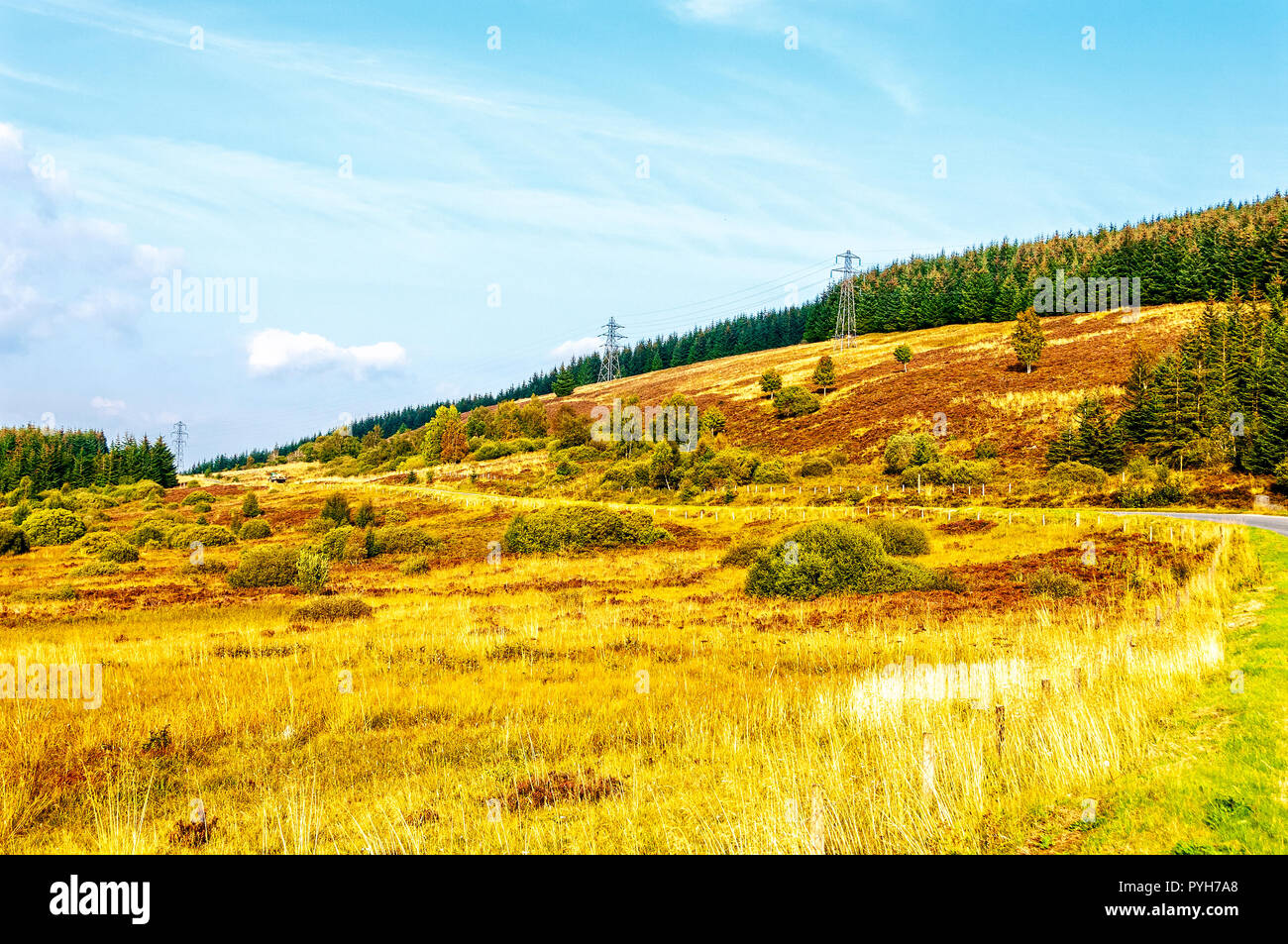 Moorland grasses hi-res stock photography and images - Alamy