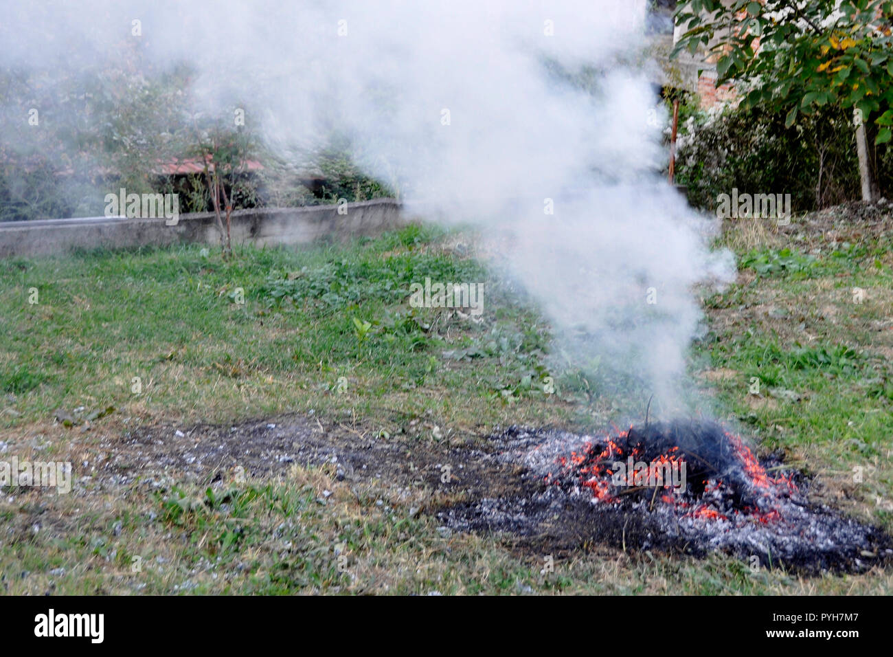Contaminate leaf hi-res stock photography and images - Alamy