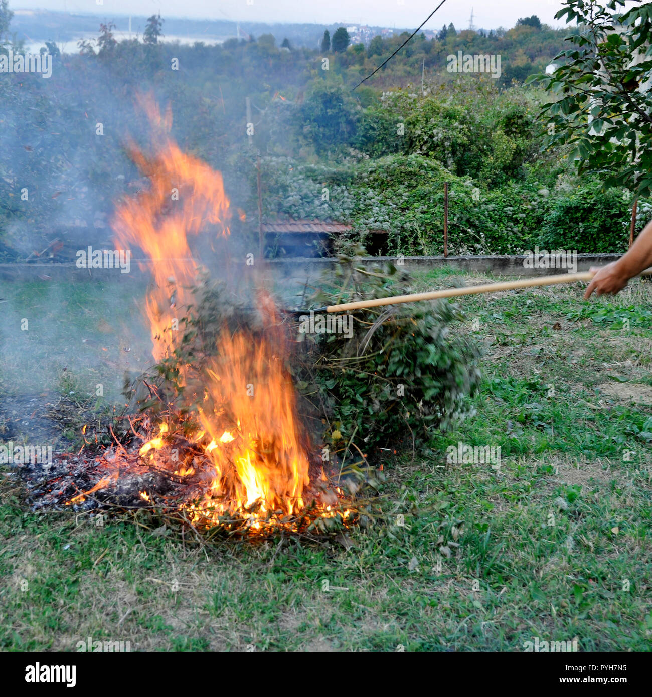 The dry autumn leaf burning in the garden Stock Photo - Alamy