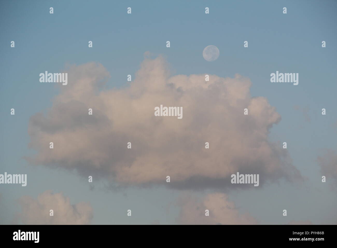 Beauty under the moon hi-res stock photography and images - Alamy