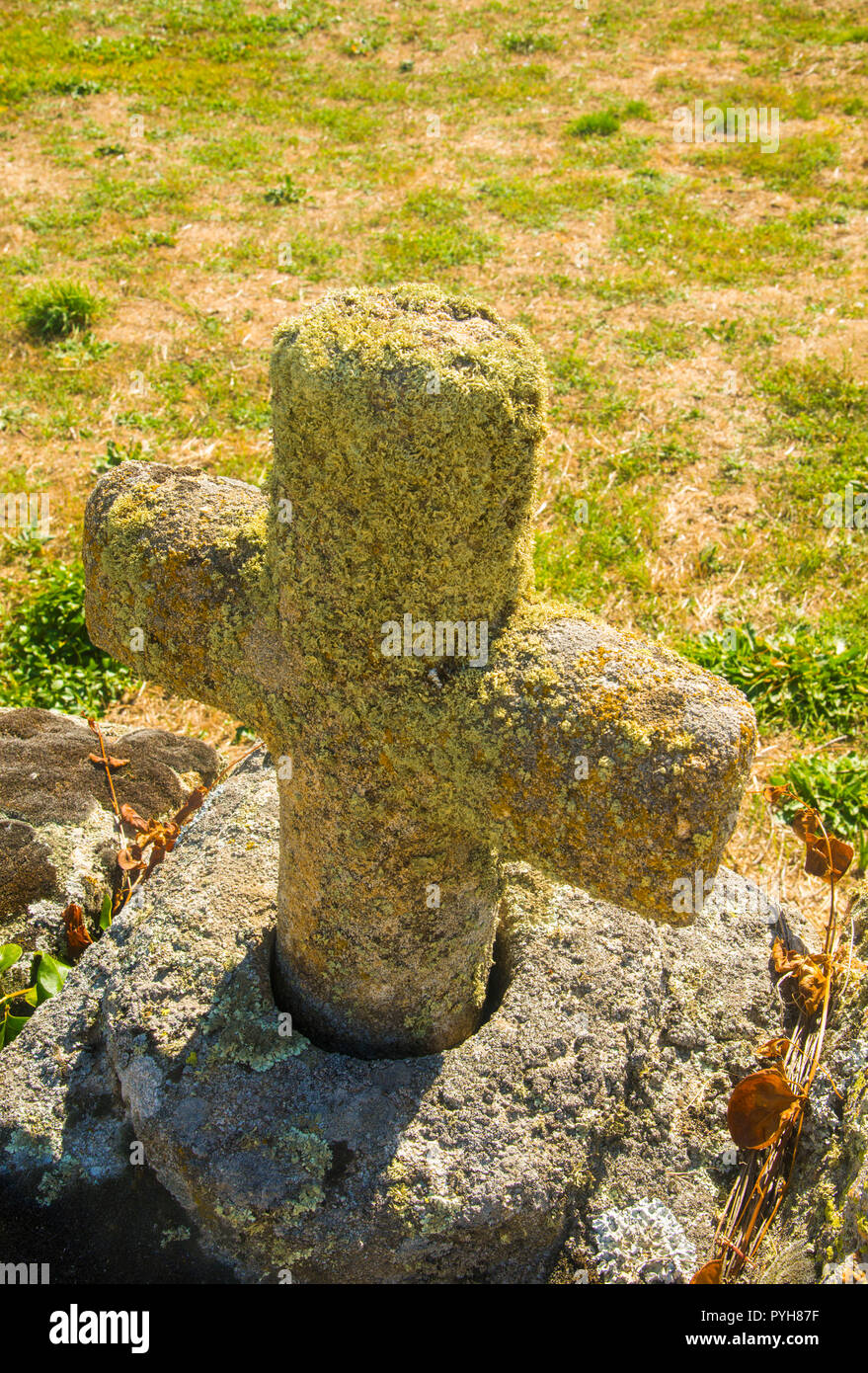 Stone cross covered with lichen Stock Photo - Alamy