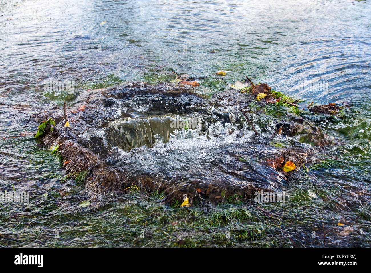 Flood water under pressure from an underground stream in Ambelside ...