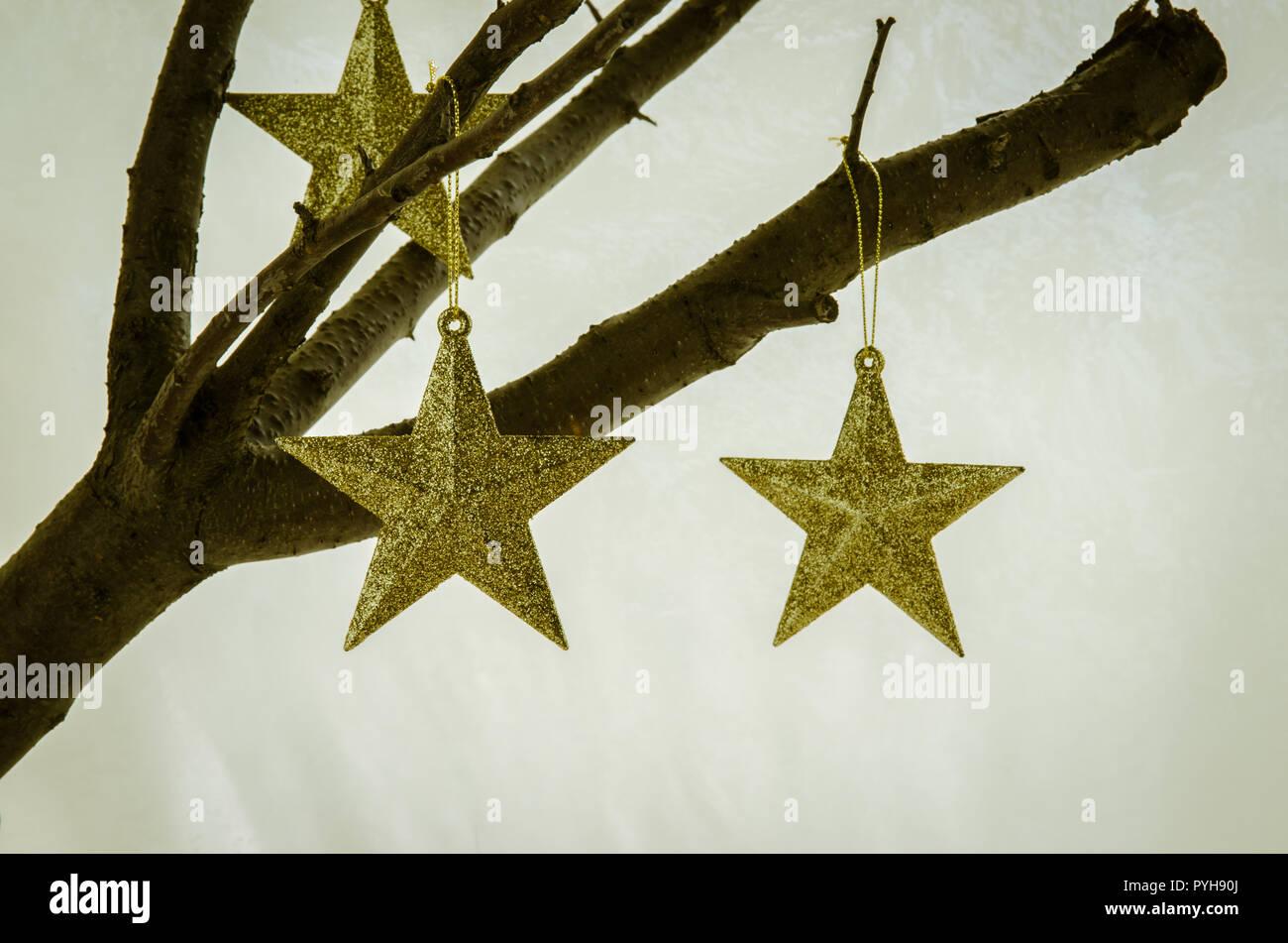 golden christmas stars hanged on tree branch Stock Photo - Alamy