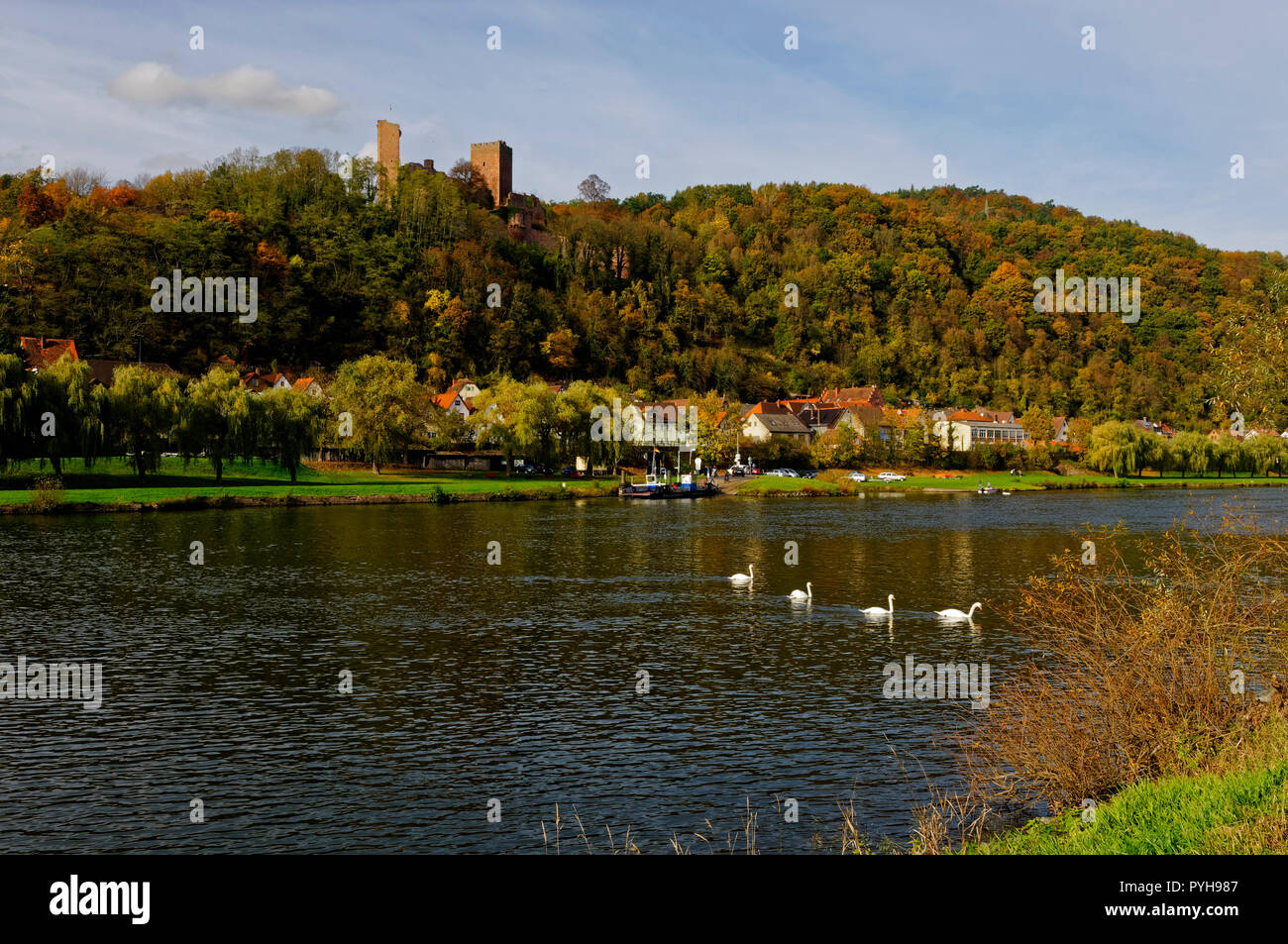 Henneburg Castle above river Main near Stadtprozelten, Spessart ...